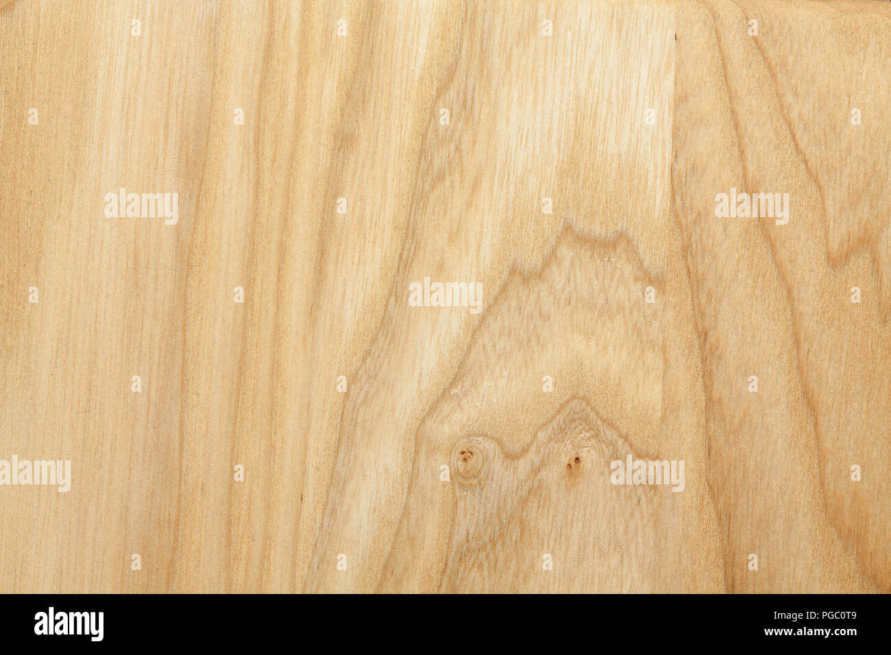 Texture of beech tree close-up Stock Photo - Alamy