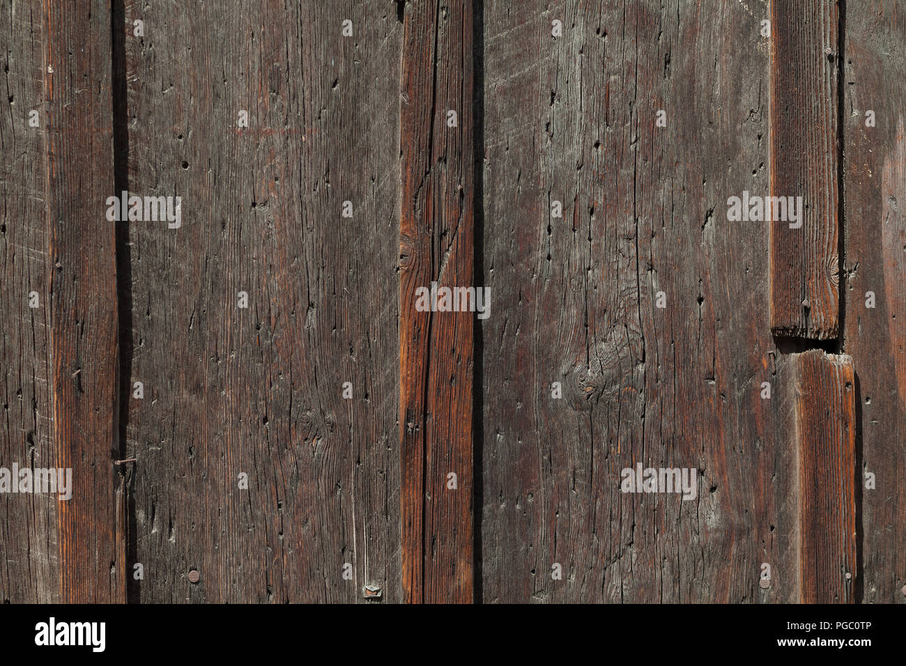 Rotting hardwood hi-res stock photography and images - Alamy