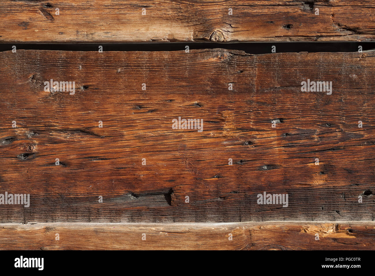 Rotting hardwood hi-res stock photography and images - Alamy