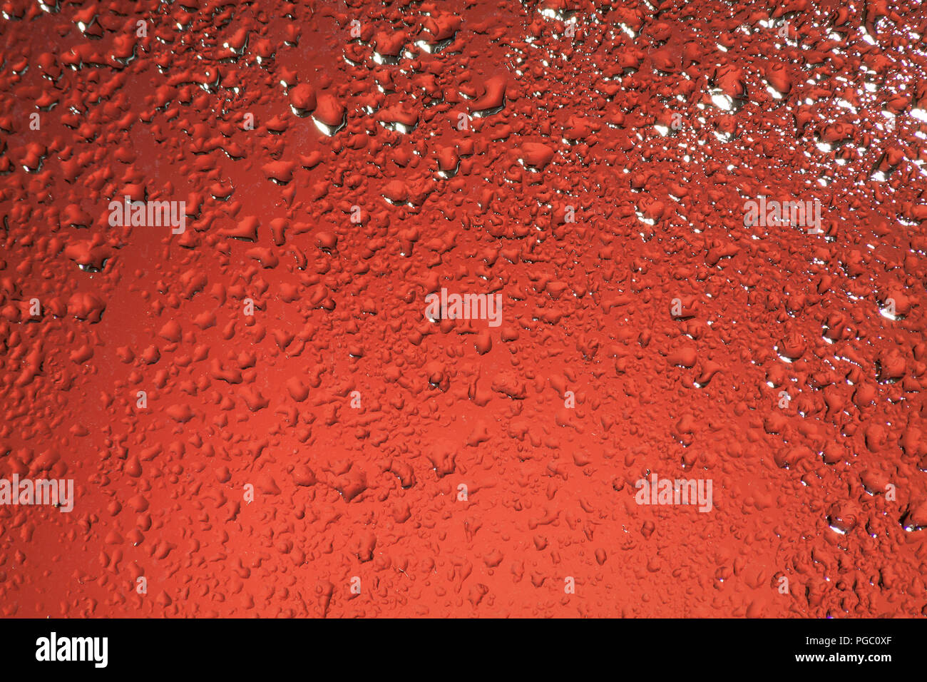 Rainy window. Drops on the glass in red back light Stock Photo - Alamy