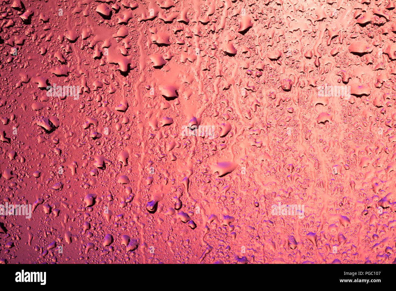 Rainy window. Drops on the glass in purple back light Stock Photo - Alamy