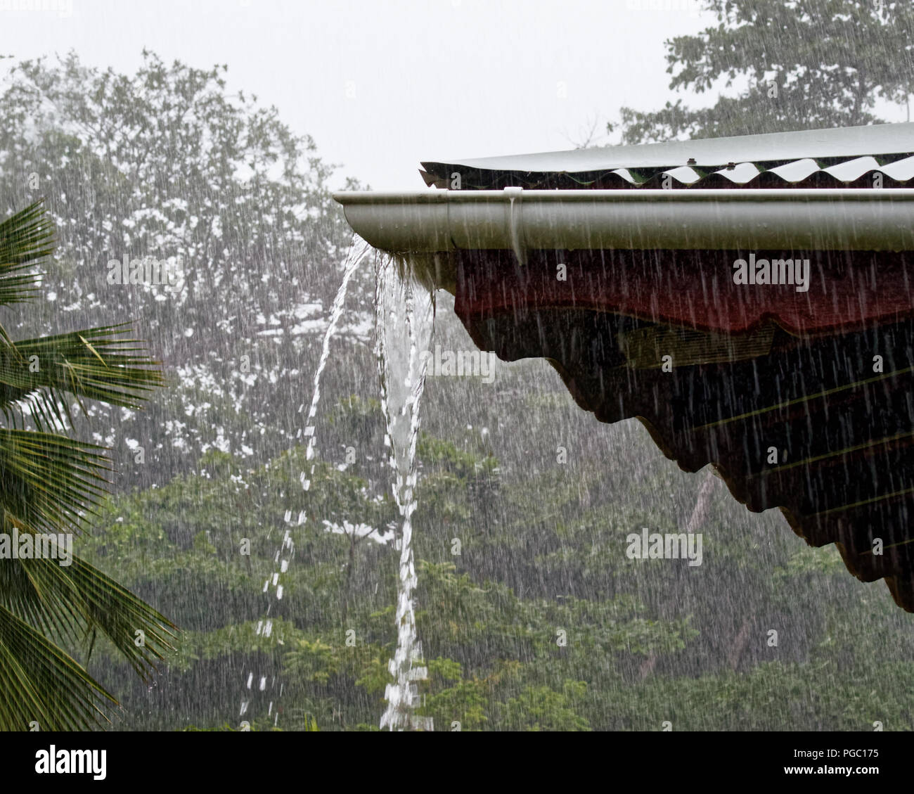 Tropical rainy climate hi-res stock photography and images - Alamy