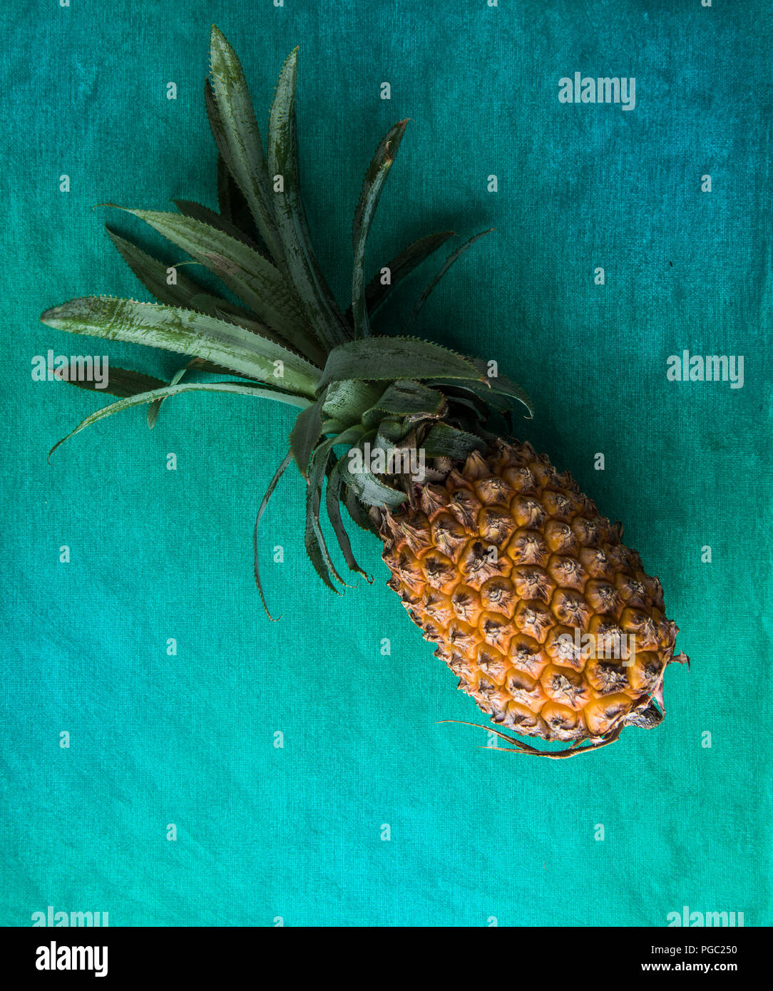 a pineapple on a green background Stock Photo - Alamy