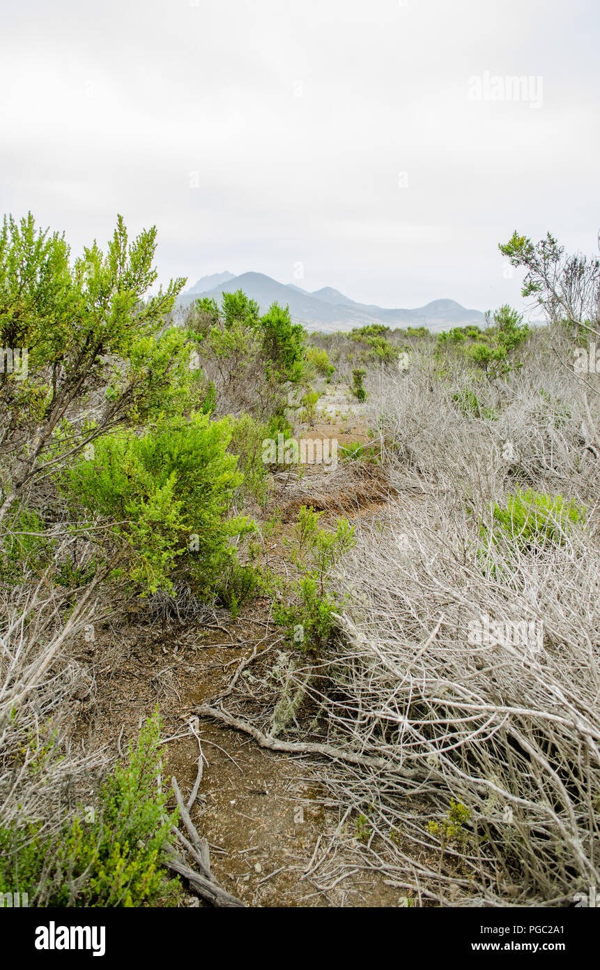 Elfin bay elfin bay hi-res stock photography and images - Alamy