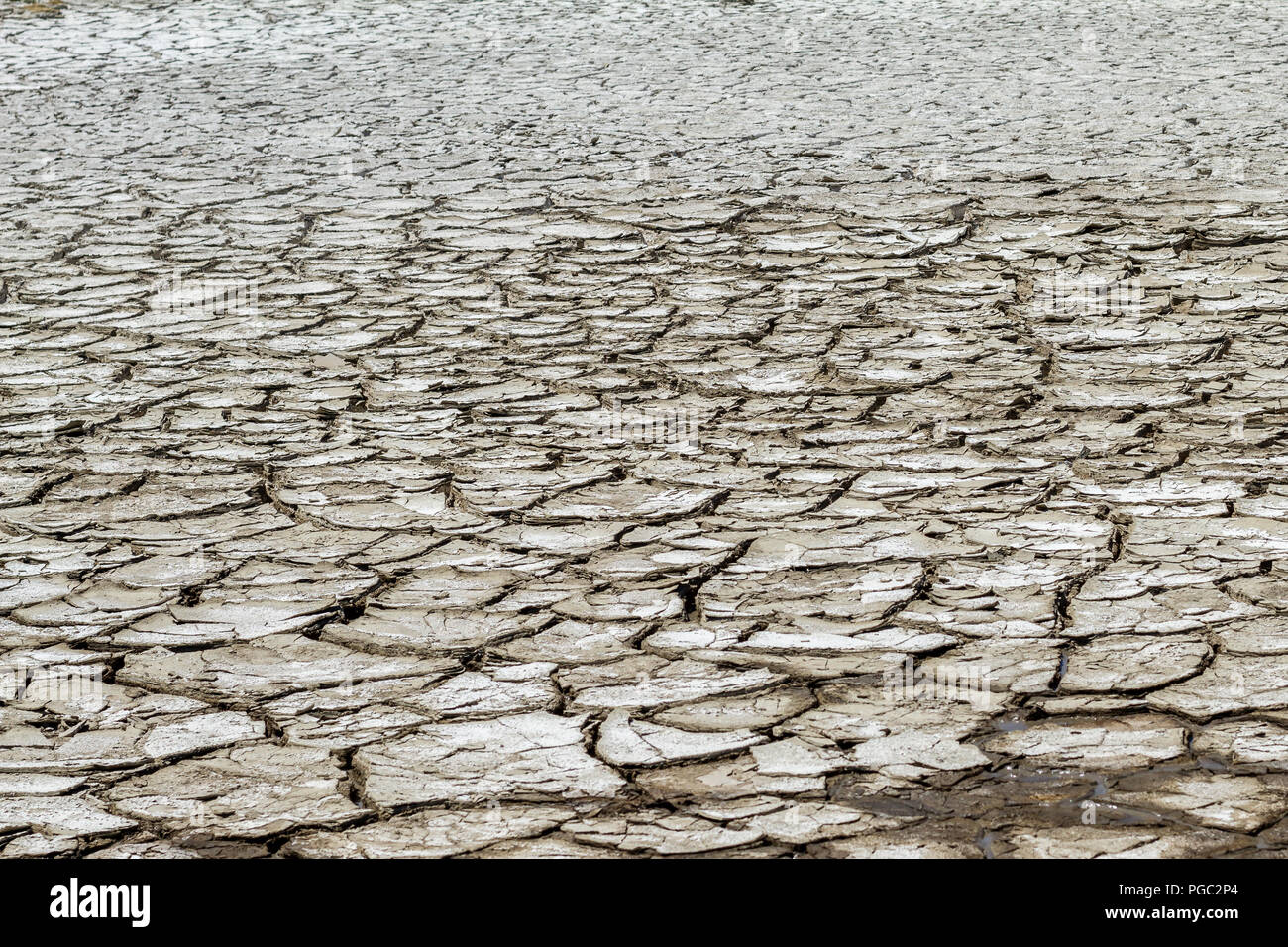 texture of cracked earth, cataclysm of drought Stock Photo - Alamy