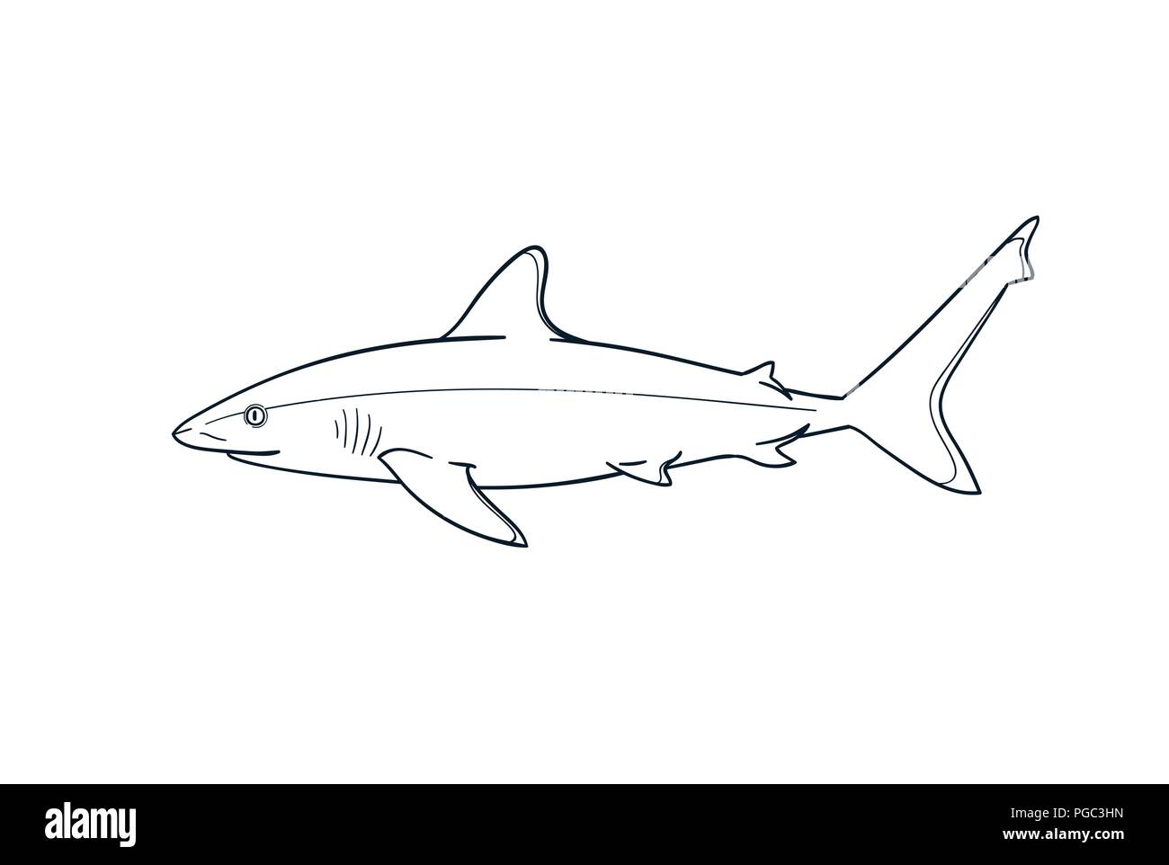 Endangered fish Cut Out Stock Images & Pictures - Alamy