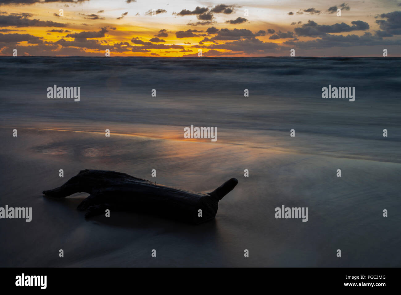 romantic sunset on the beach with wood on the sand Stock Photo - Alamy