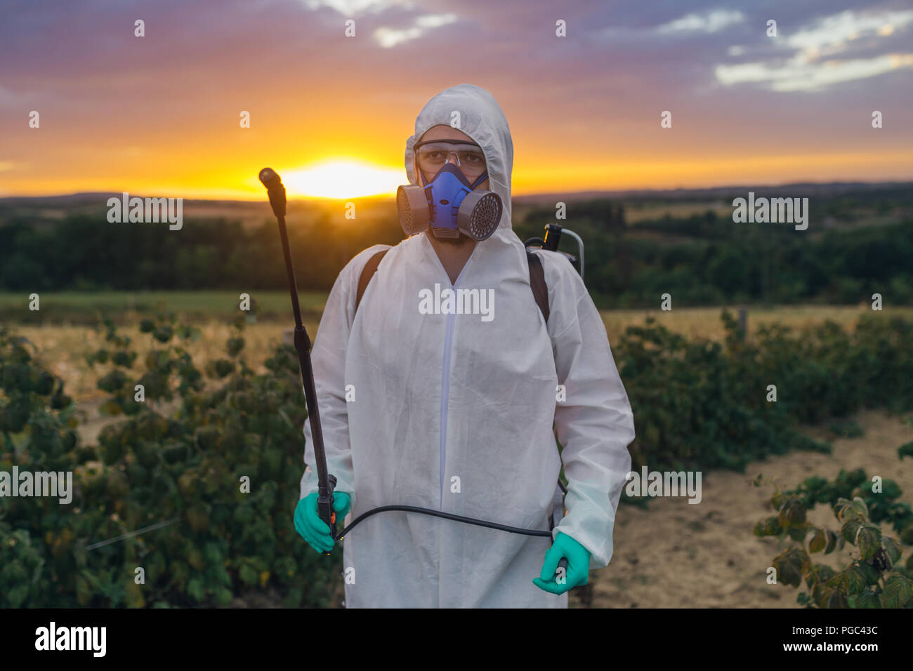 Agriculture pest control - Young worker spraying organic pesticides on ...