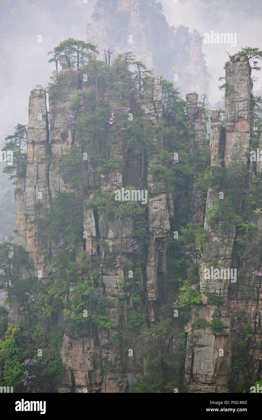 Mountain Landscapes,Formations,Rocks,Views,Mist,Clouds,Zhangiajie ...