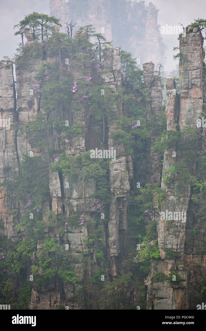 Mountain Landscapes,Formations,Rocks,Views,Mist,Clouds,Zhangiajie ...