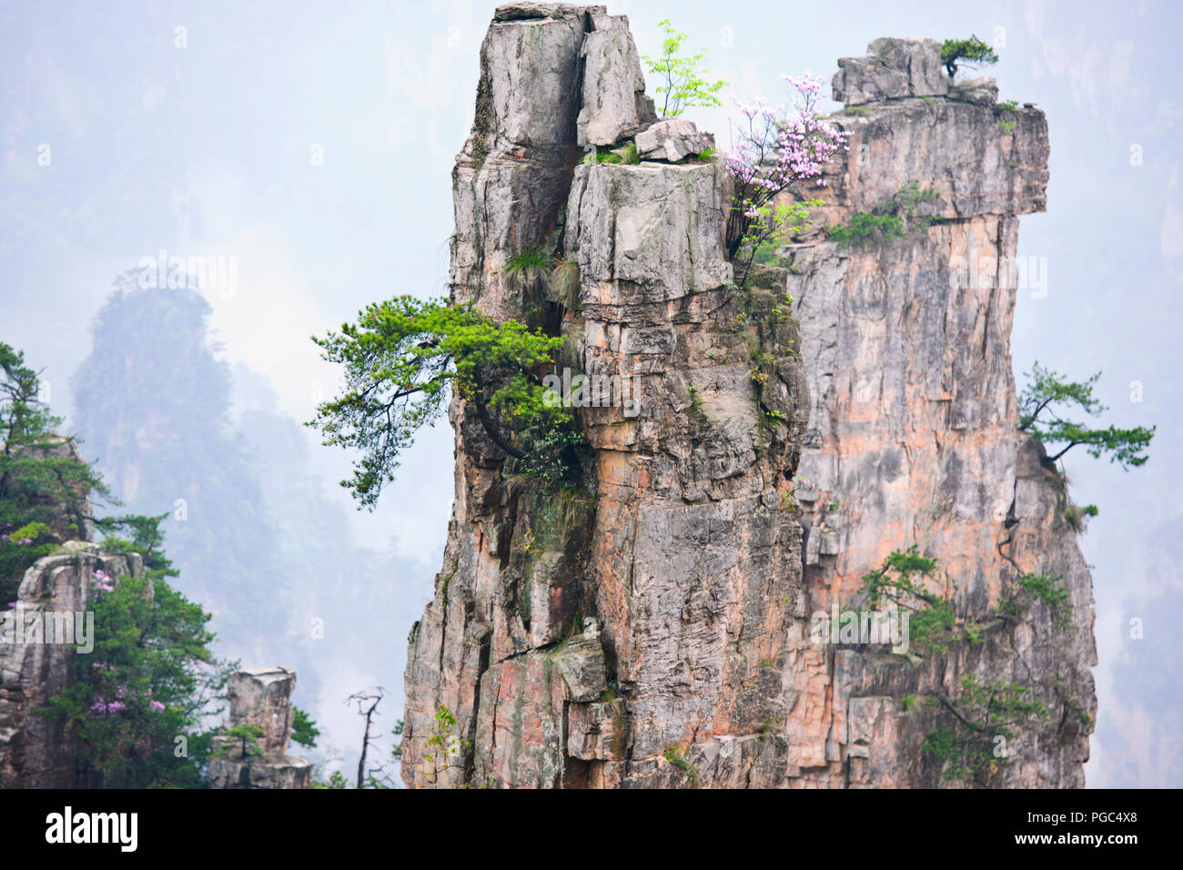 Mountain Landscapes,Formations,Rocks,Views,Mist,Clouds,Zhangiajie ...