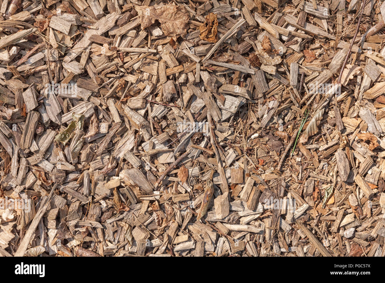 Forest soil mulch hi-res stock photography and images - Alamy