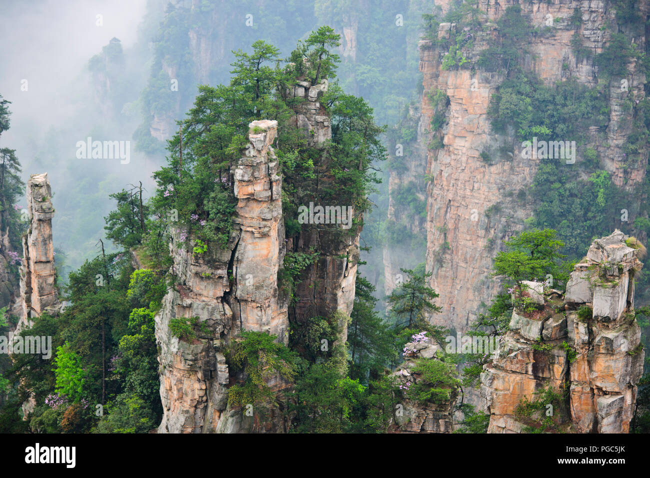 Mountain Landscapes,Formations,Rocks,Views,Mist,Clouds,Zhangiajie ...