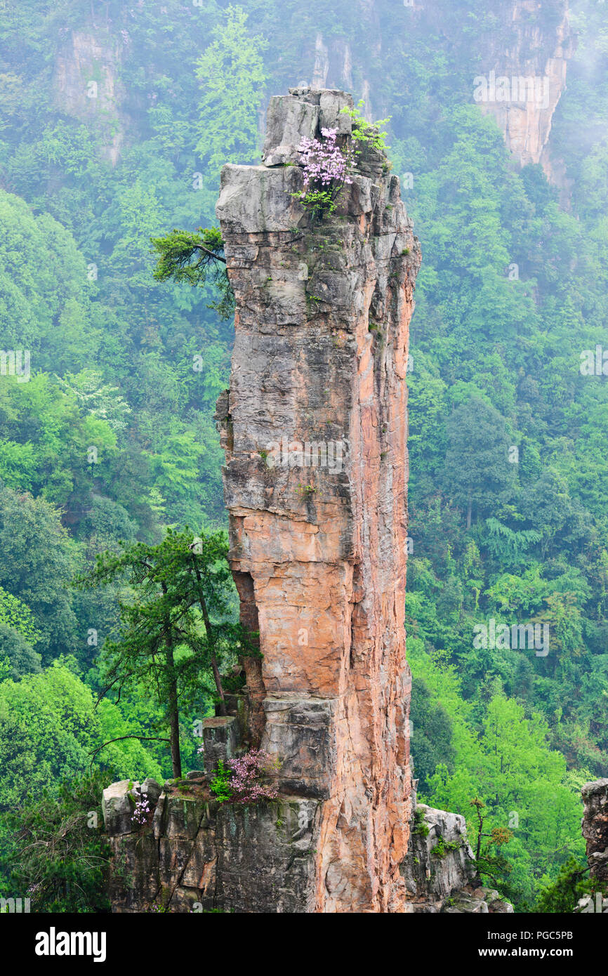 Paintbrush Formations High Resolution Stock Photography and Images - Alamy