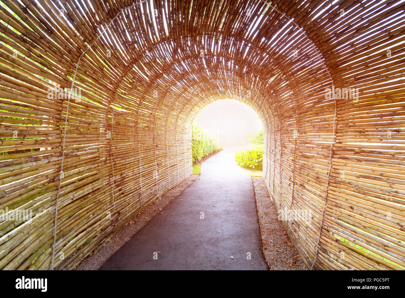 Bamboo walk way hi-res stock photography and images - Alamy
