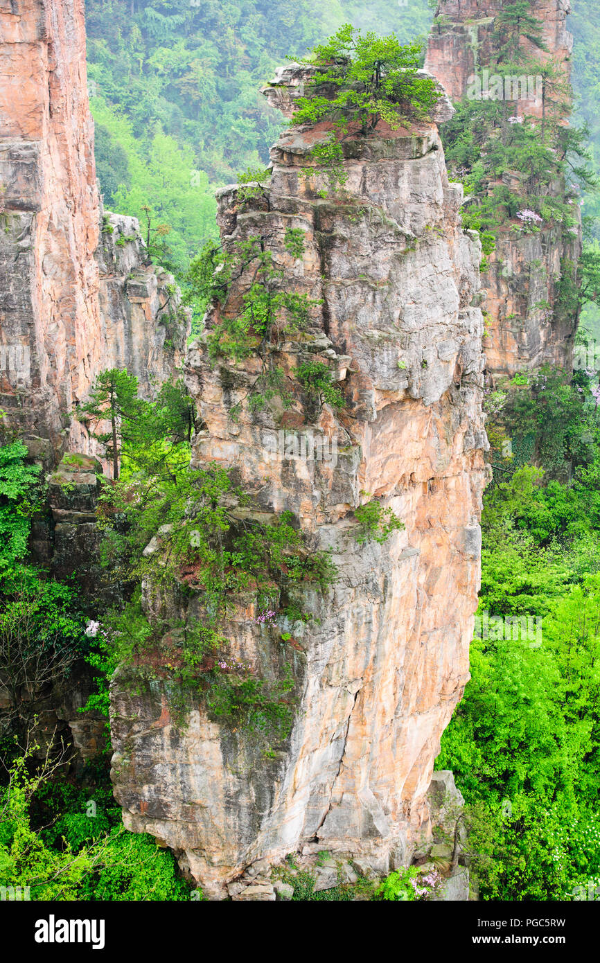 Mountain Landscapes,Formations,Rocks,Views,Mist,Clouds,Zhangiajie ...