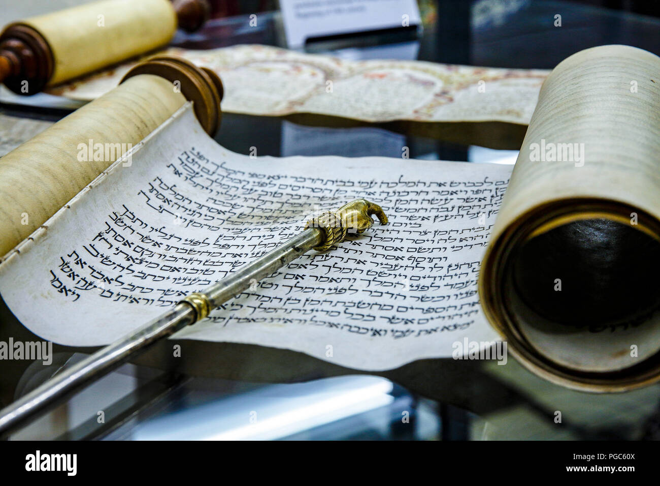 Italy Veneto Padova: Jewish museum -Ester's roll. Manuscript on ...