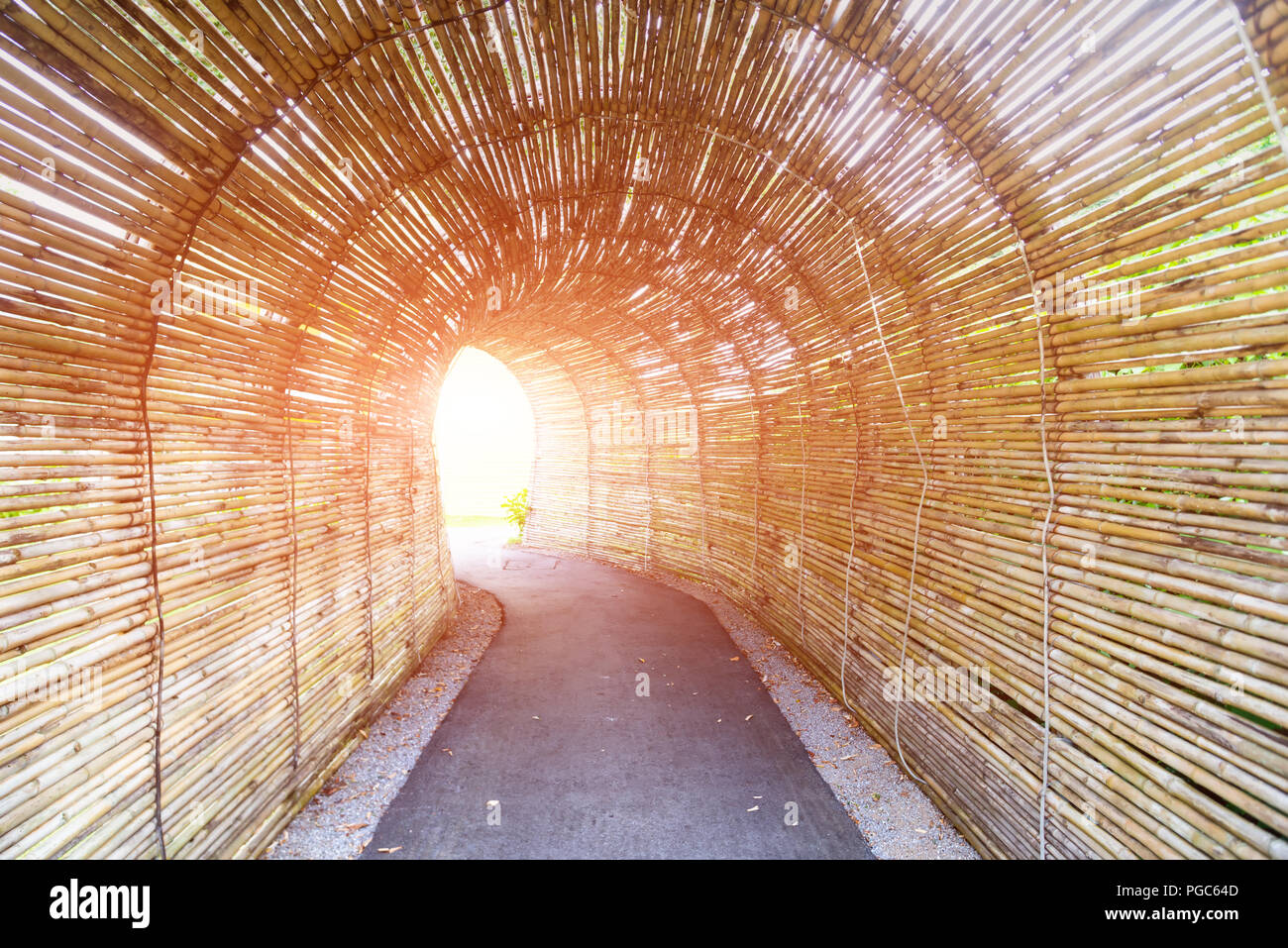 Bamboo tunnel walk way in public garden with sunset lighting Stock ...