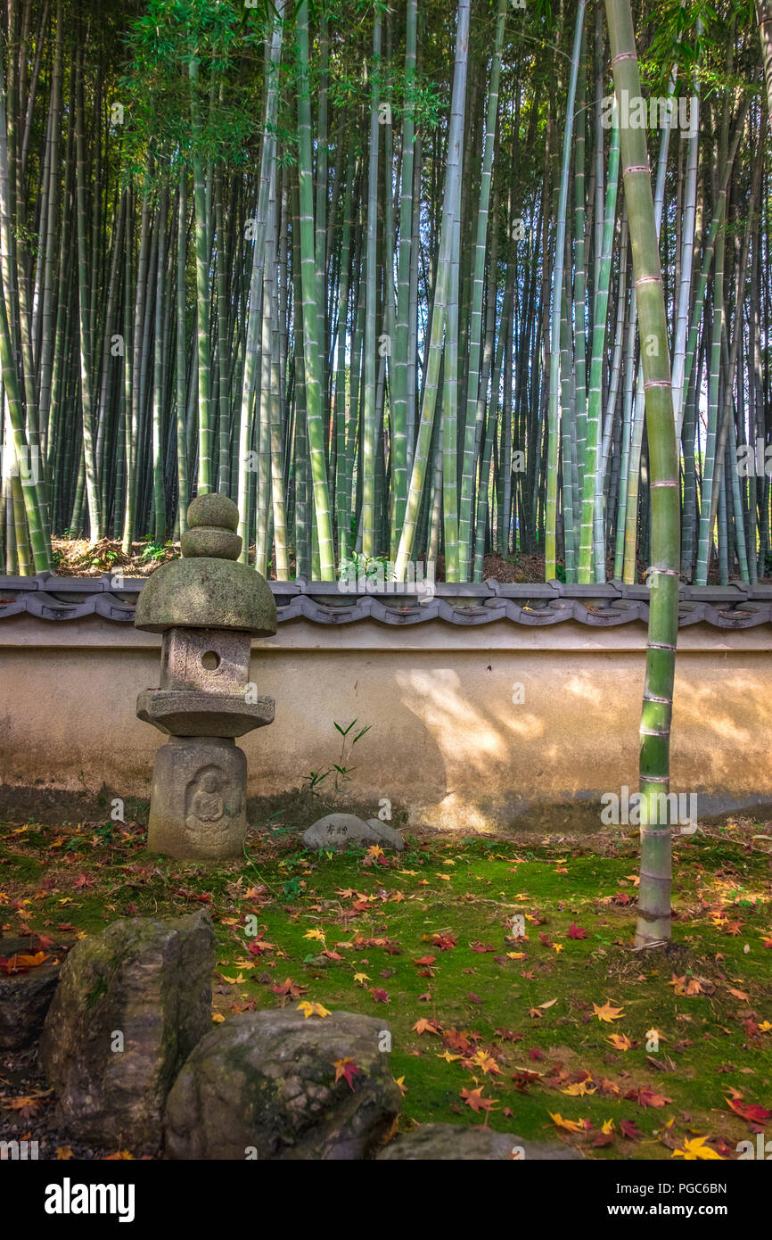Sagano Bamboo Forest, Kyoto, Japan Stock Photos & Sagano Bamboo Forest ...