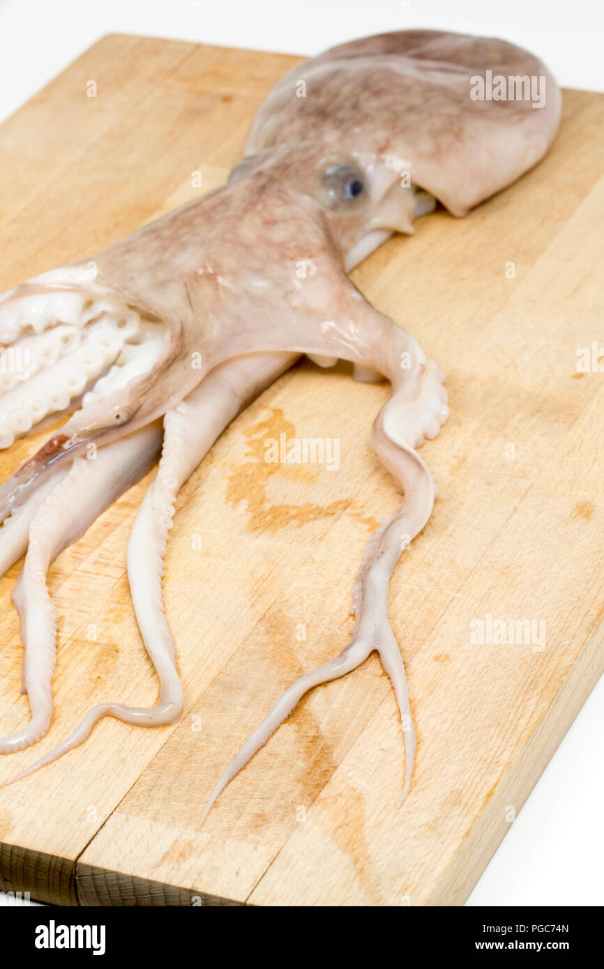 Curled octopus uk hi-res stock photography and images - Alamy