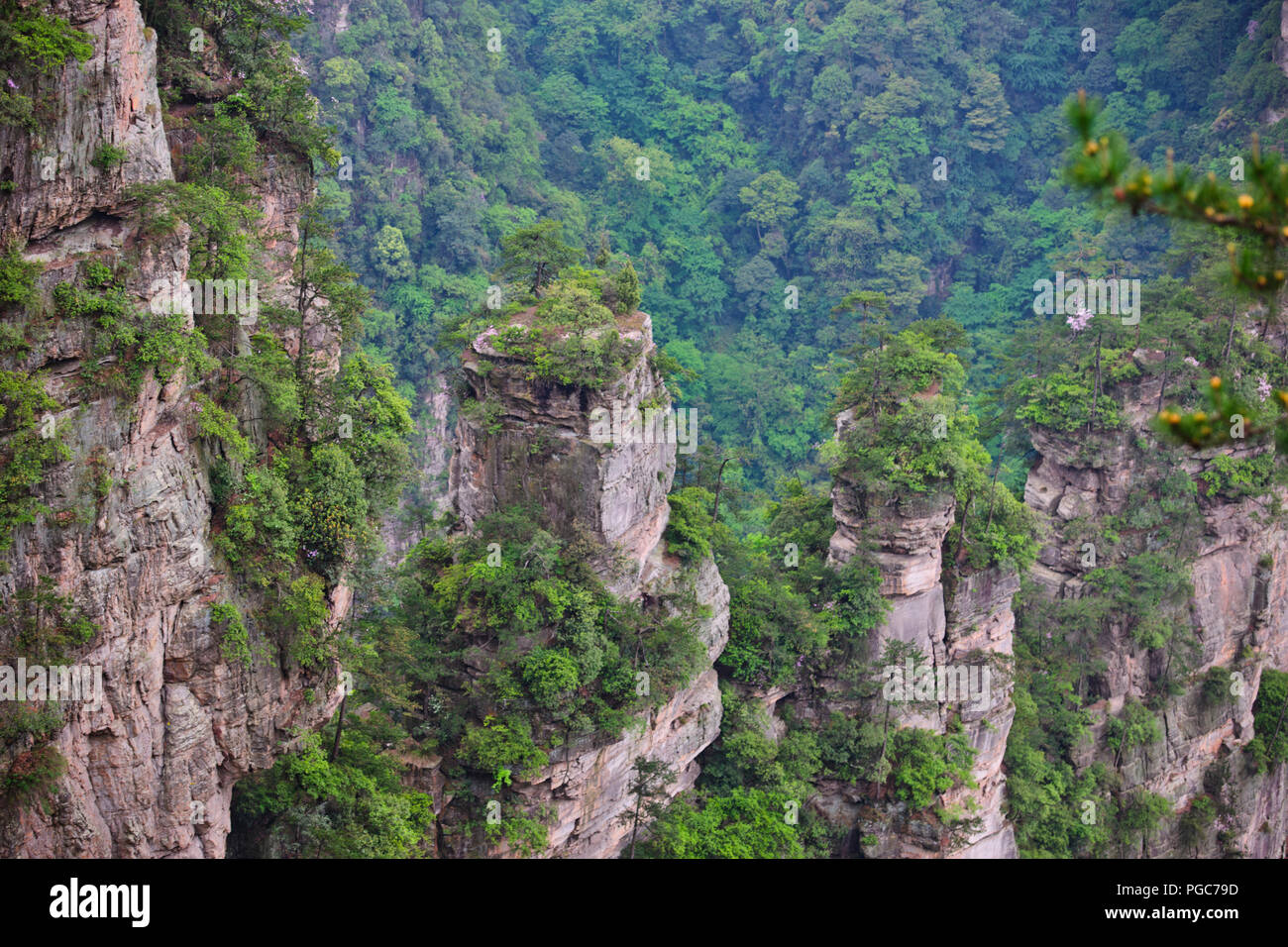 Mountain Landscapes,Formations,Rocks,Views,Mist,Clouds,Zhangiajie ...