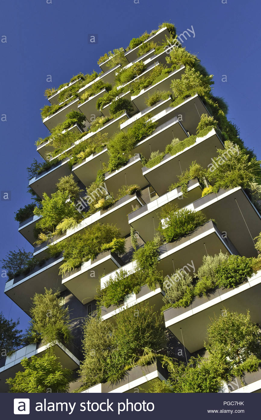 Bosco Vertical High Resolution Stock Photography and Images - Alamy