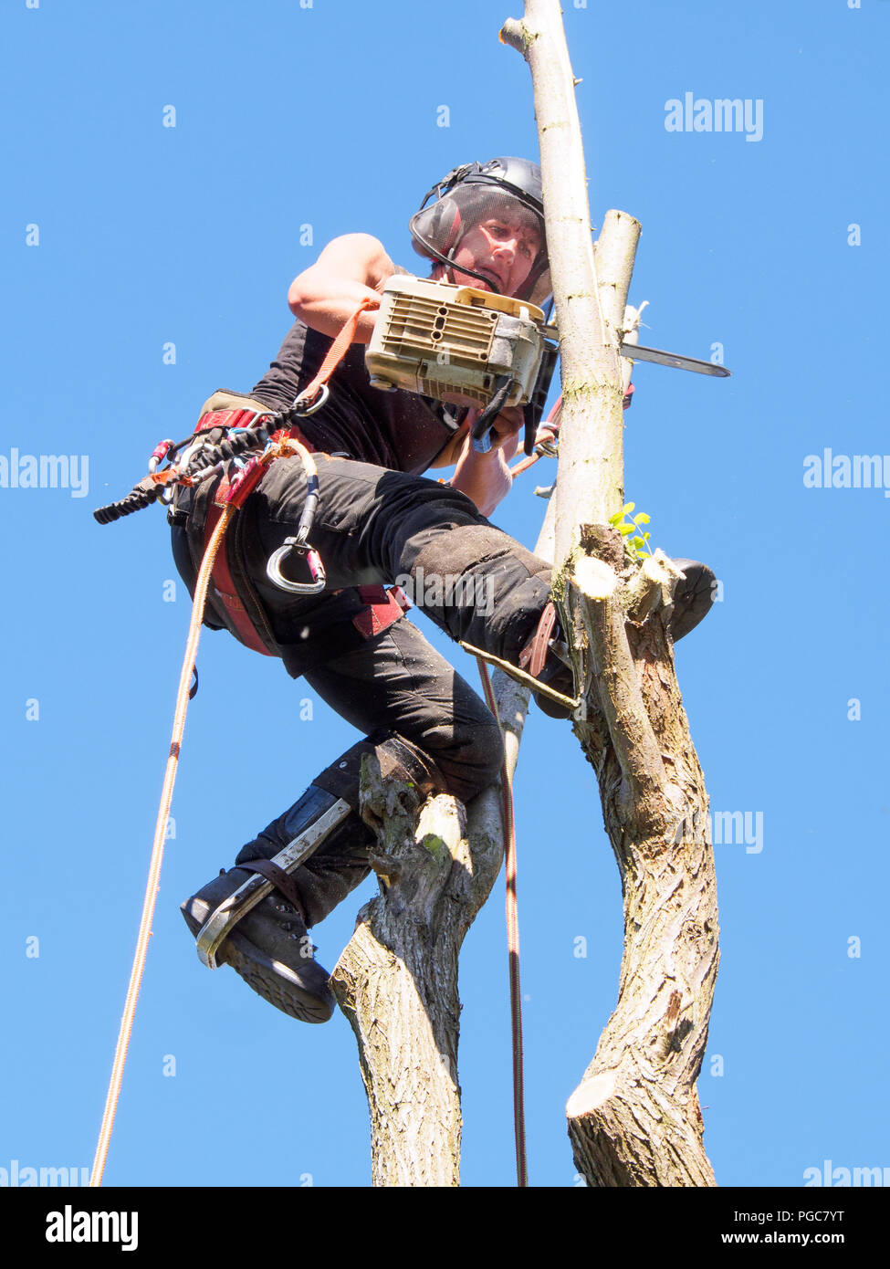 Cutting branches rope hi-res stock photography and images - Alamy