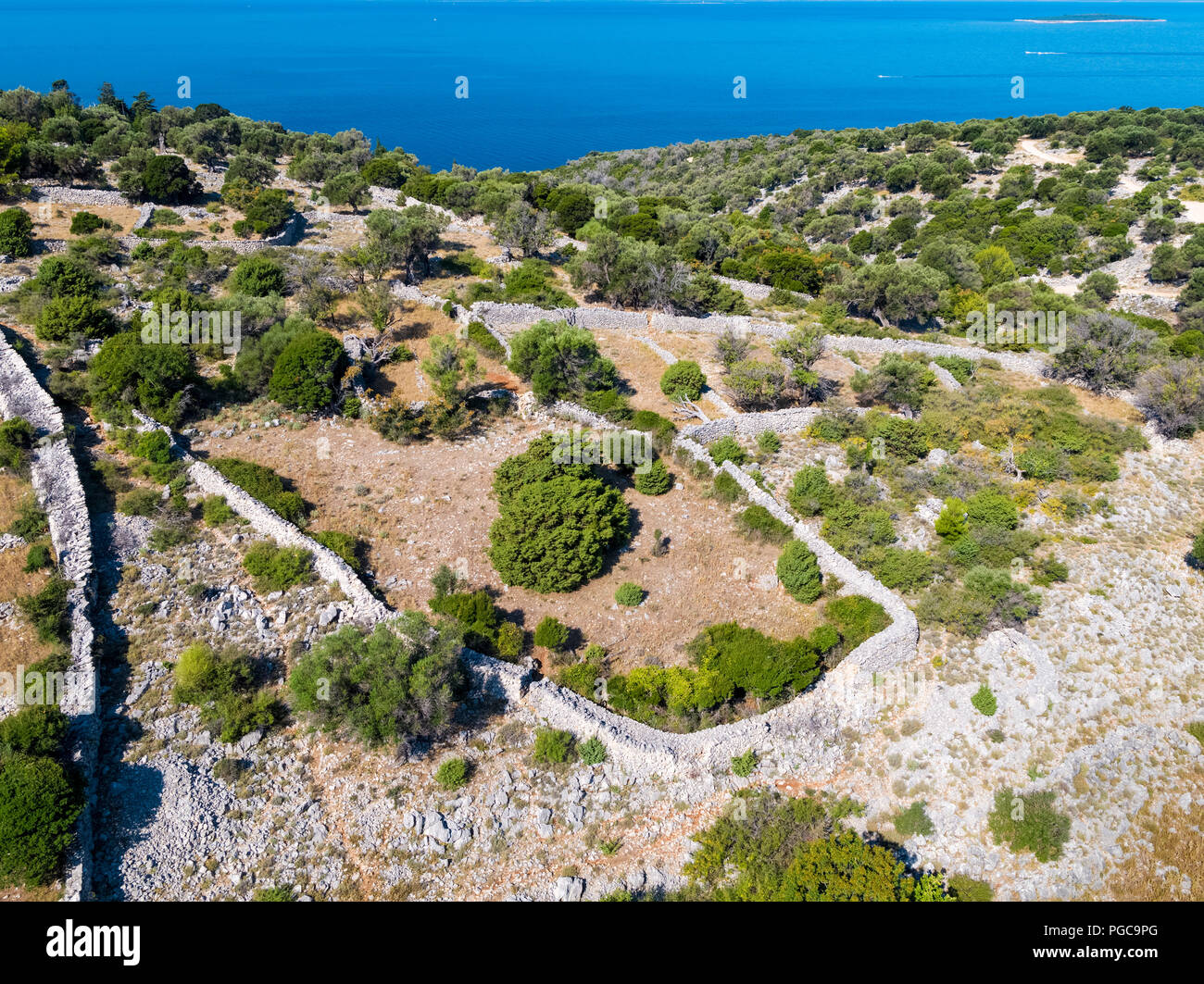Lun croatia island pag hi-res stock photography and images - Alamy