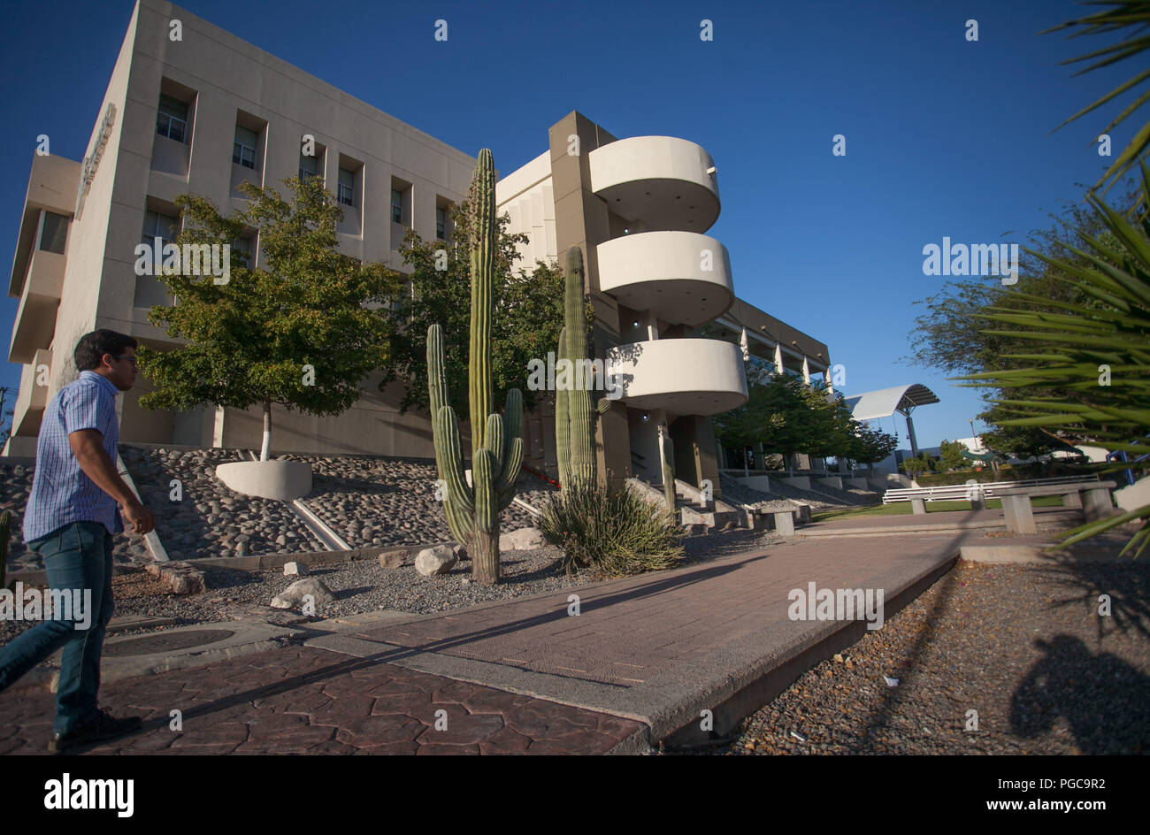 Technological Institute and of Superior Studies of Monterrey ...