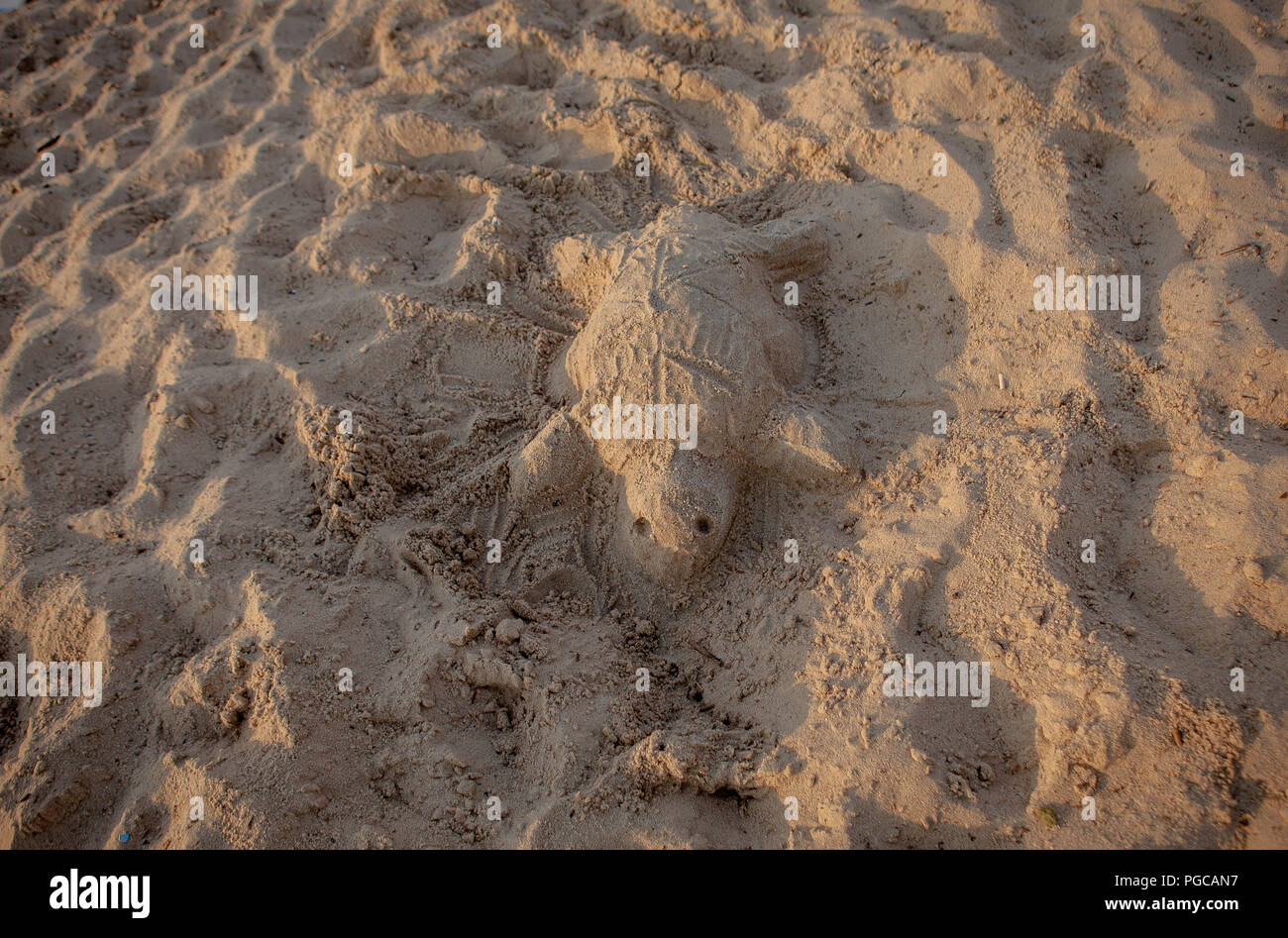 Sand sculpture of a sea turtle Stock Photo - Alamy