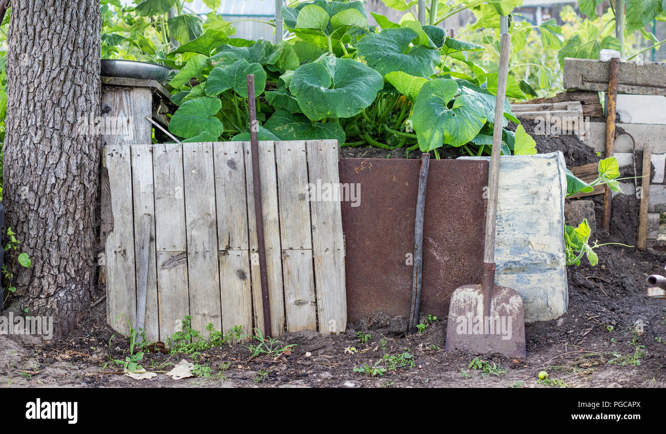 Soil patch hi-res stock photography and images - Alamy