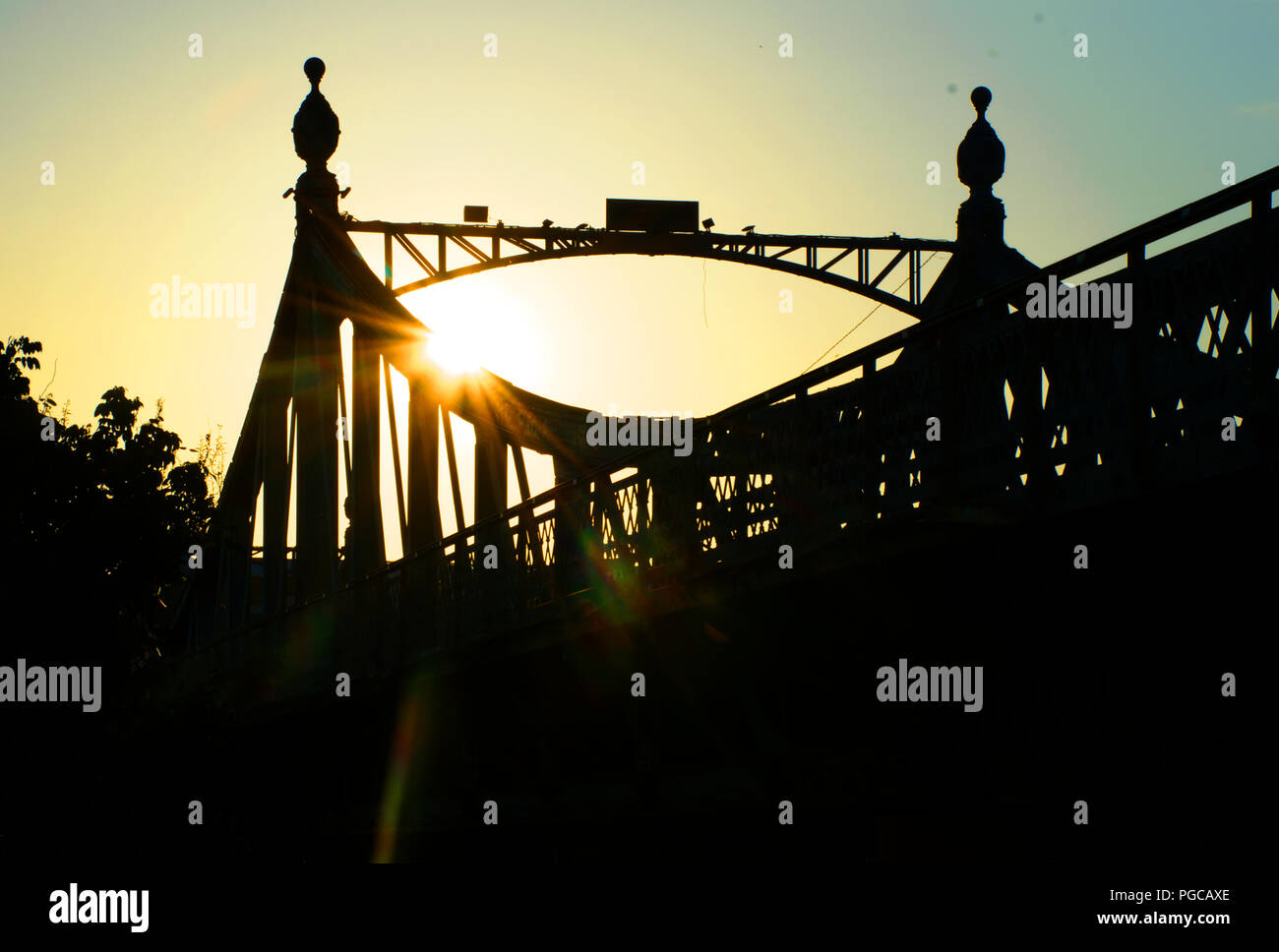 Amazon rainforest brazil bridge hi-res stock photography and images - Alamy