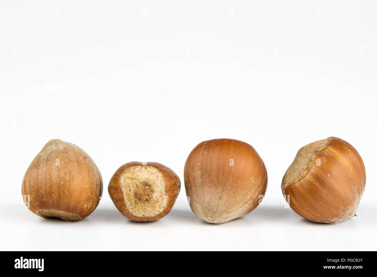 Hazelnuts in shell on a kitchen table. Hazel fruit as an addition to ...
