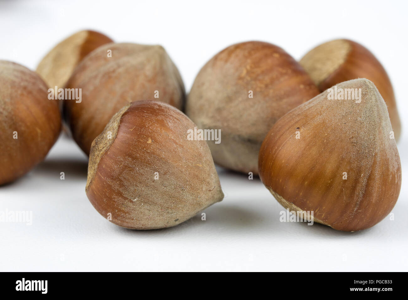 Hazelnuts in shell on a kitchen table. Hazel fruit as an addition to ...
