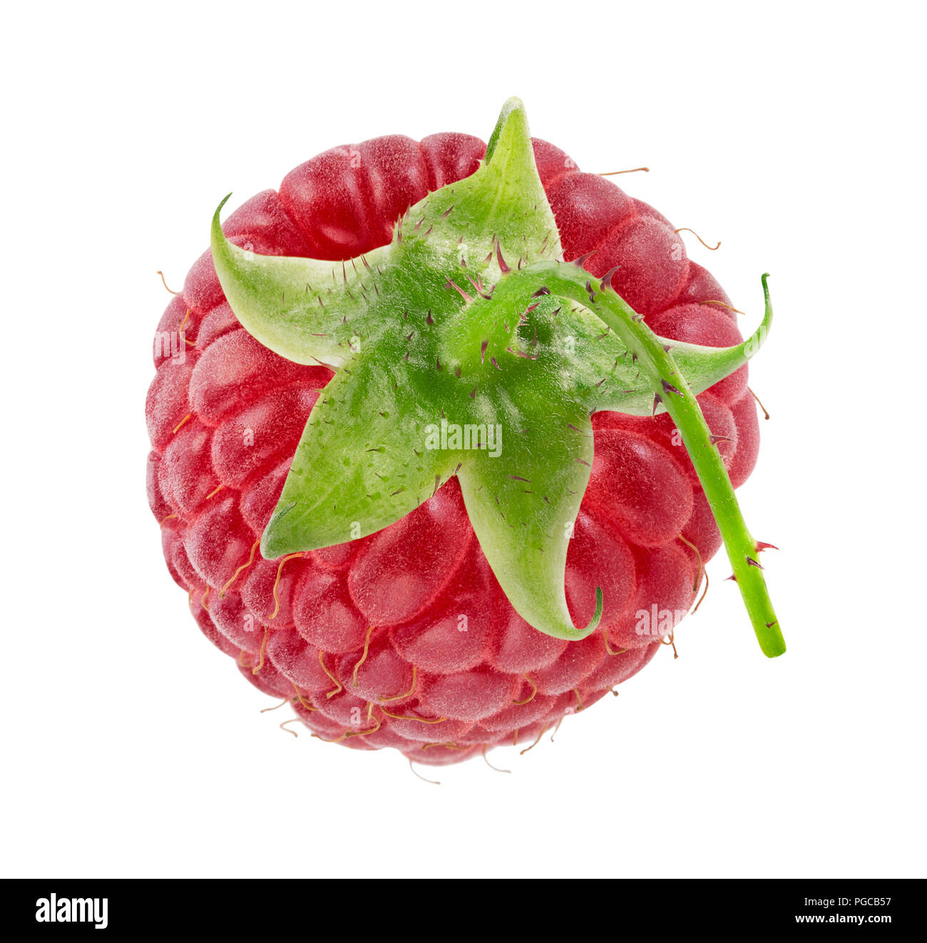 raspberry isolated on a white background Stock Photo - Alamy