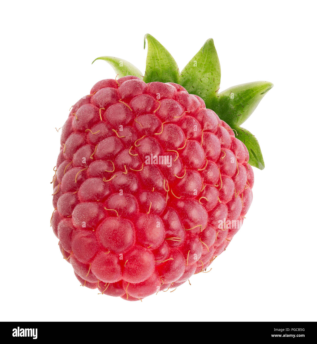raspberry isolated on a white background Stock Photo - Alamy