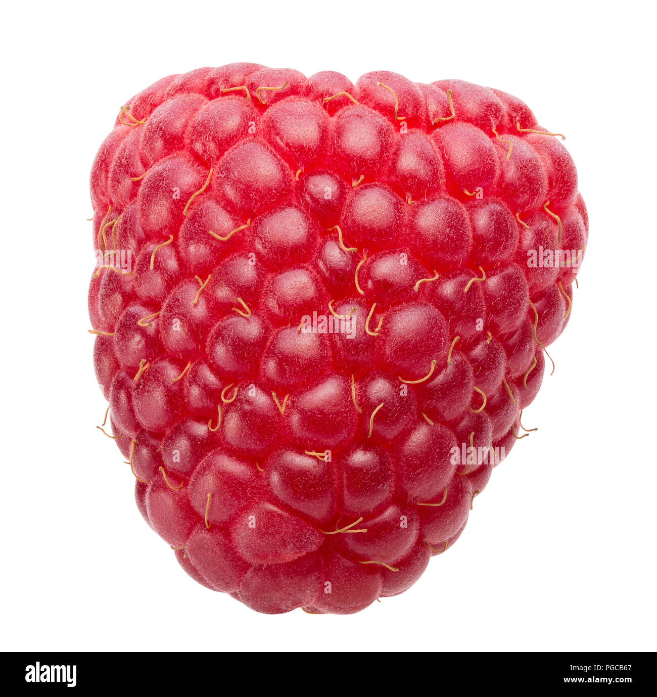 raspberry isolated on a white background Stock Photo - Alamy
