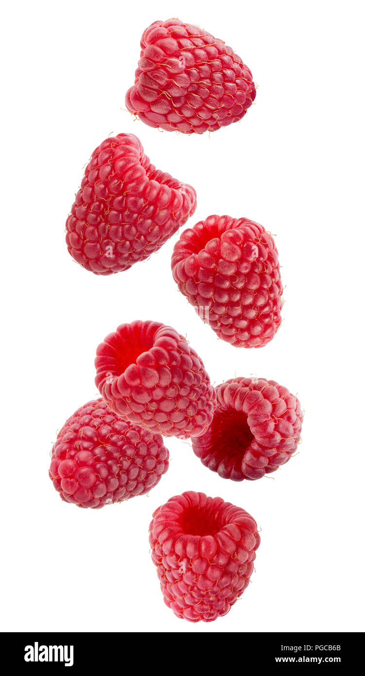 falling raspberries isolated on a white background Stock Photo - Alamy