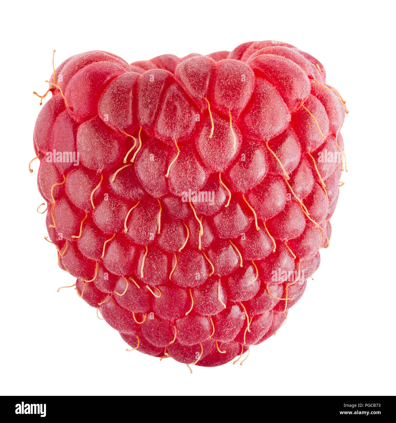 raspberry isolated on a white background Stock Photo - Alamy