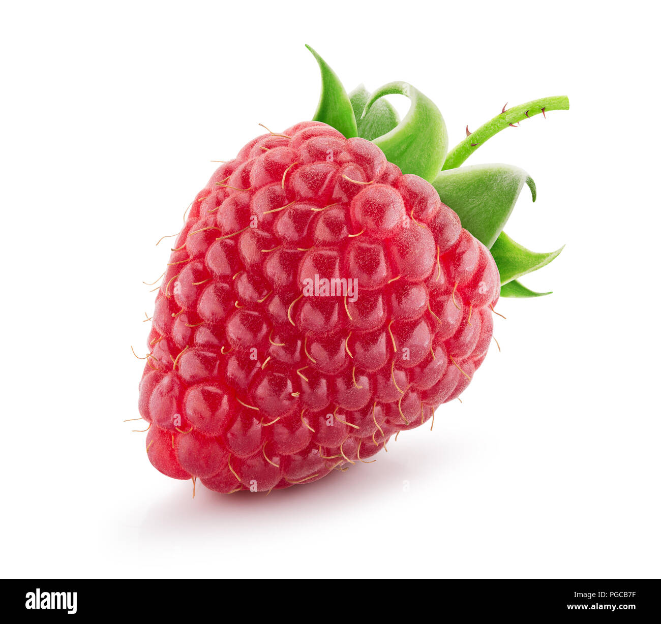 raspberry isolated on a white background Stock Photo - Alamy