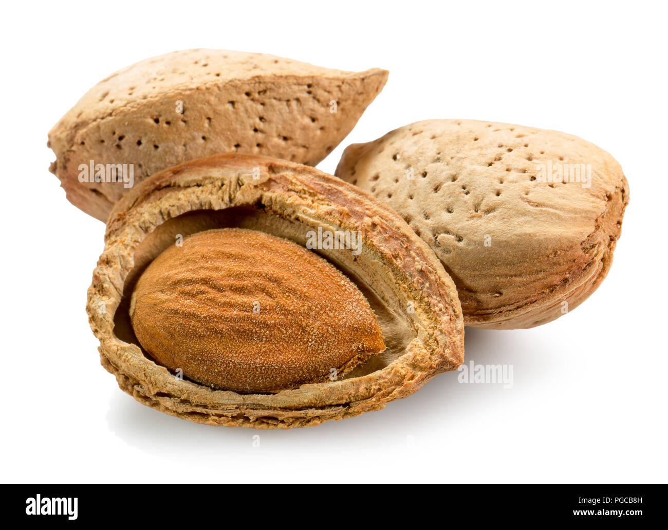 almonds in shell isolated on a white background Stock Photo - Alamy