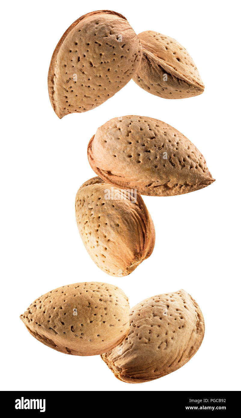 falling almonds in shell isolated on a white background Stock Photo - Alamy