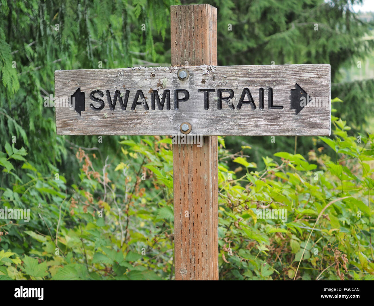 Swamp Trail sign, Tiger Mount, Washington state, USA Stock Photo - Alamy