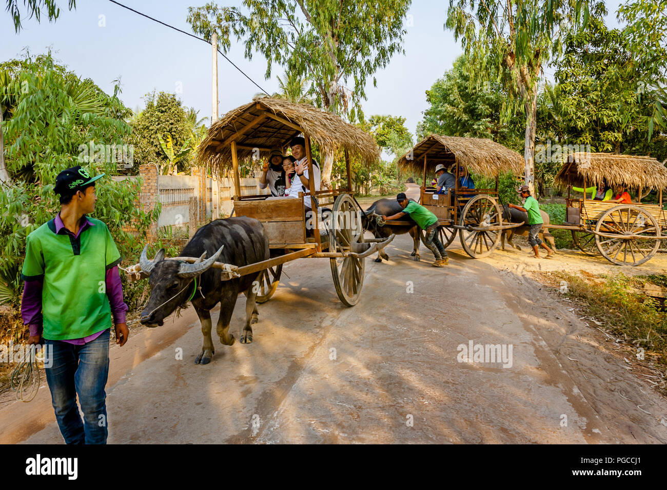 editorial: Chinese tourists take a ride in a cart pulled by oxen, in ...