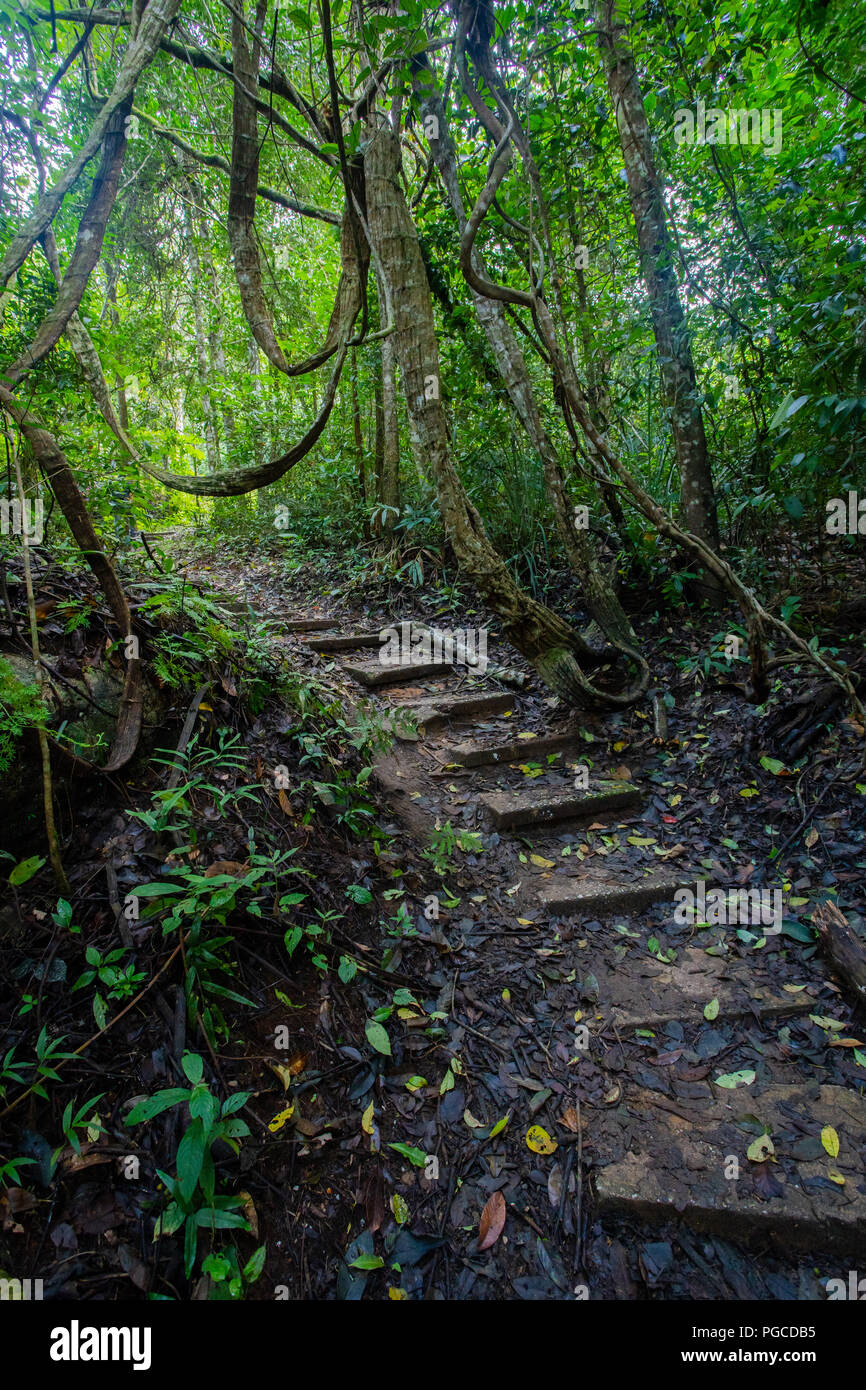 Natural stair hi-res stock photography and images - Alamy