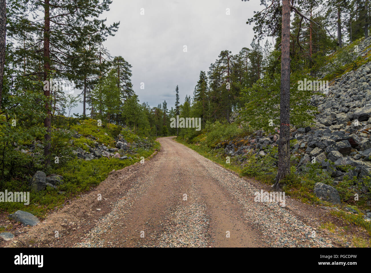 Empty unpaved road in the middle of forest in Luosto Lapland Finland ...