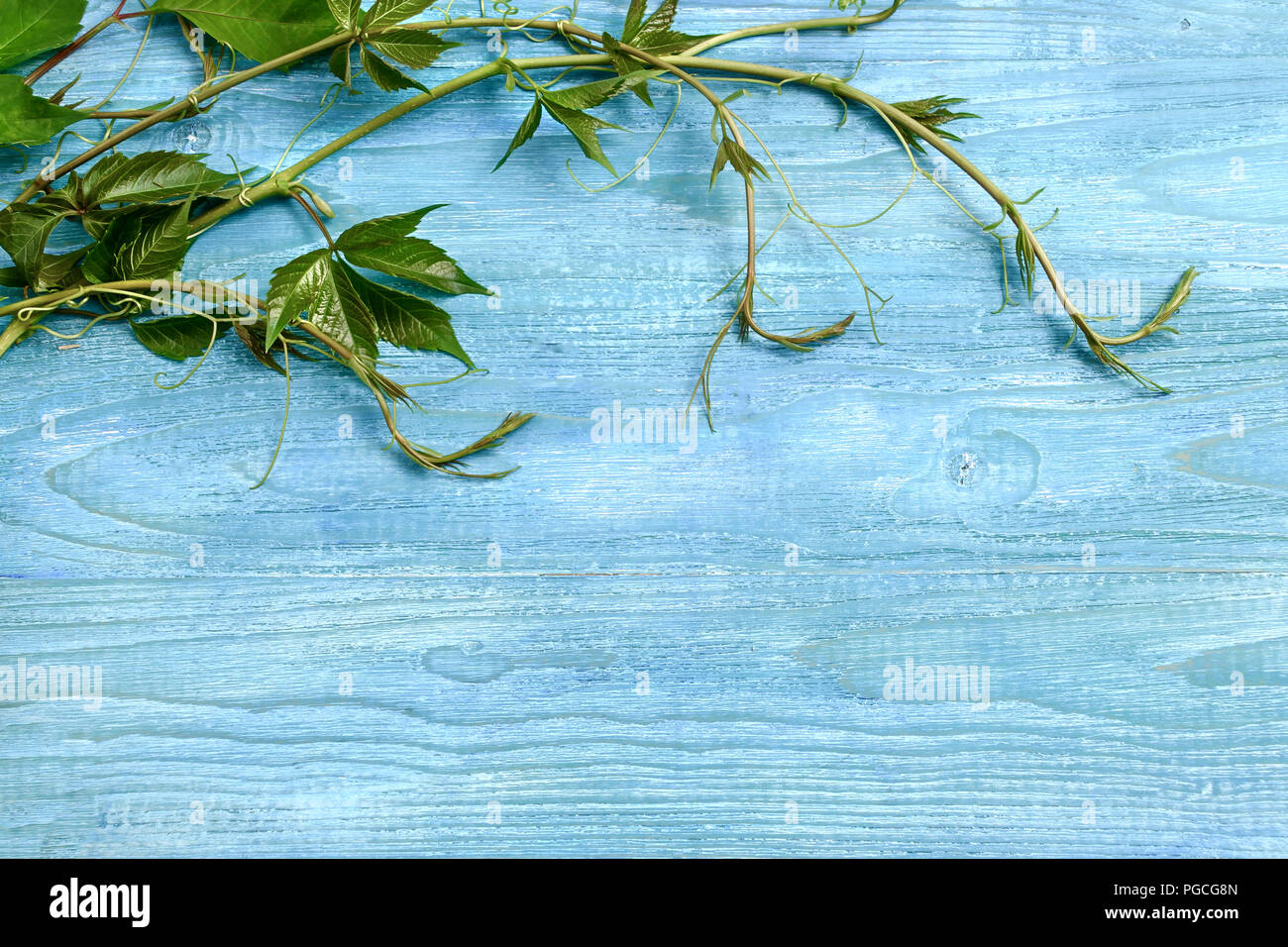 Wood pole frame hi-res stock photography and images - Alamy