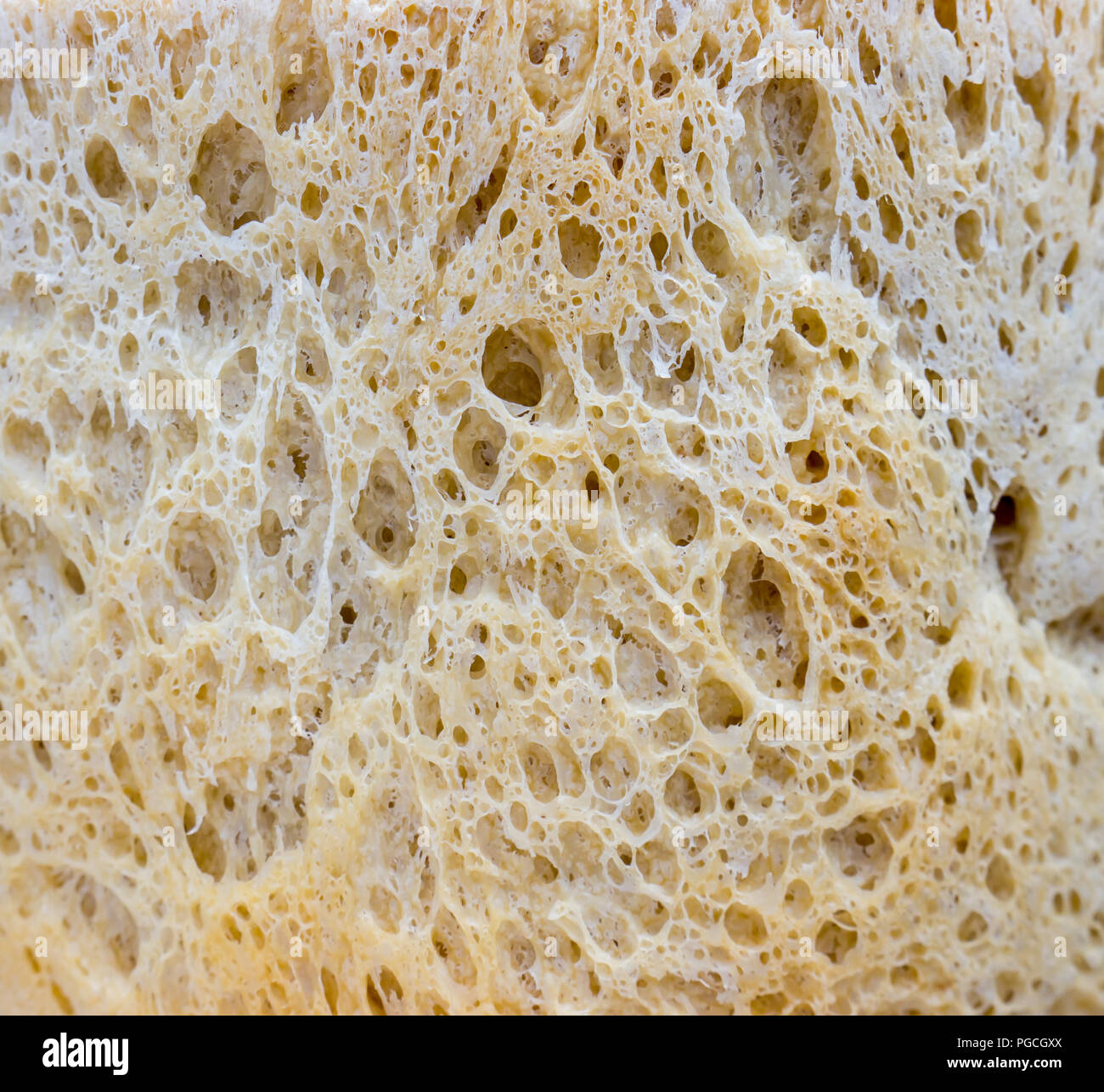 The Bread background and texture Stock Photo - Alamy