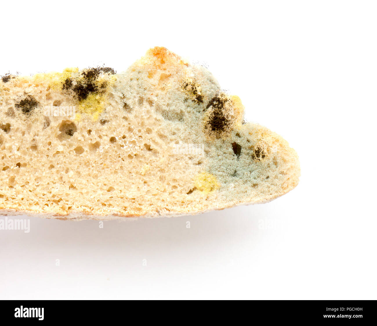 The Moldy bread Stock Photo - Alamy
