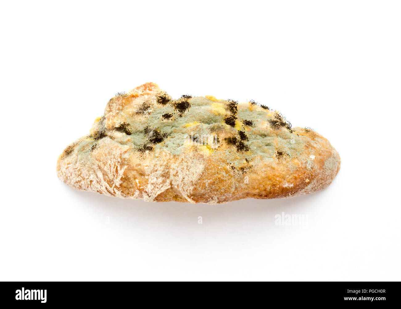 The Moldy bread Stock Photo - Alamy